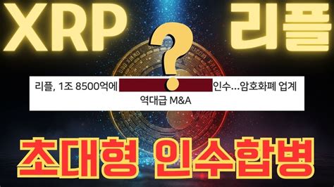 이건 진짜 미쳤습니다xrp 리플 Youtube