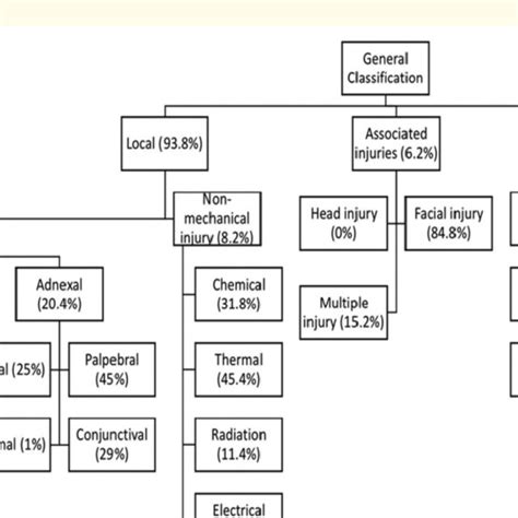 Pdf Limitations In Current Classification Of Ocular Trauma Mini Review