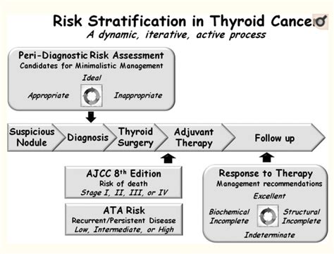 Risk Stratification In Differentiated Thyroid Cancer Rodrigo
