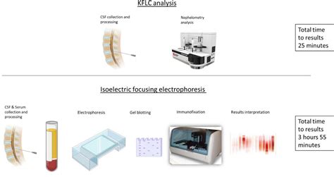 Kappa Free Light Chain Normal Range Shelly Lighting