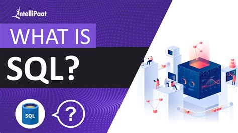 Sql Basics Learn Sql Sql Training For Beginners Intellipaat Youtube