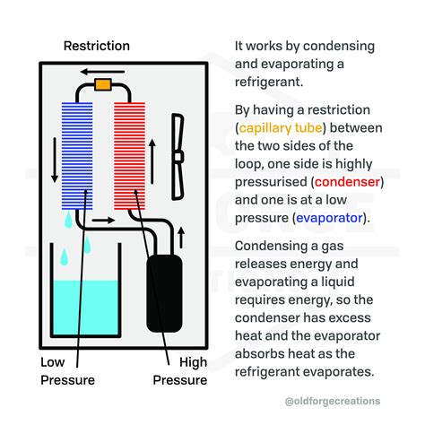 Dehumidifiers Should You Have One Old Forge Creations