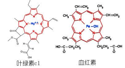 血红素的分子结构图氧分子模型图第4页大山谷图库