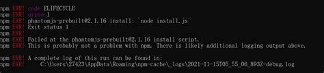 Phantomjs Prebuilt 2 1 16 Install `node Install Js` Programmer Sought