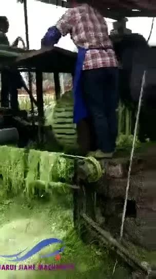 Banana Stem Decorticator Jute Decorticating Pineapple Leaf Peeling Machine Fiber Processing