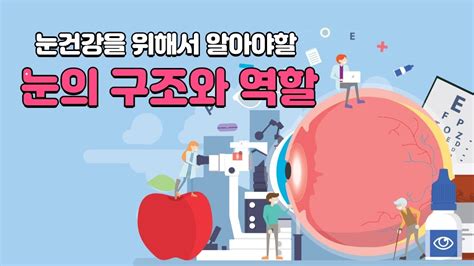 E341 눈건강을 위해서 반드시 알아야할 눈의 구조와 역할 Youtube