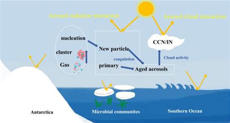 New Particle Formation Over The So And Antarctica And Their Effects On