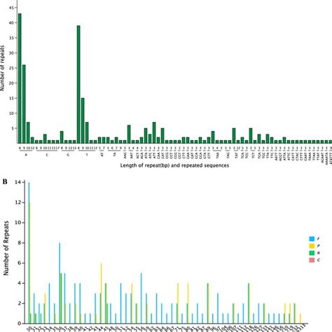 Phylogenetic Tree Of 23 Species From Pteridophyta Based On The Complete