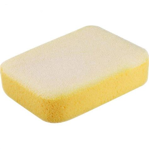 Two Sided Scrubbing Sponge