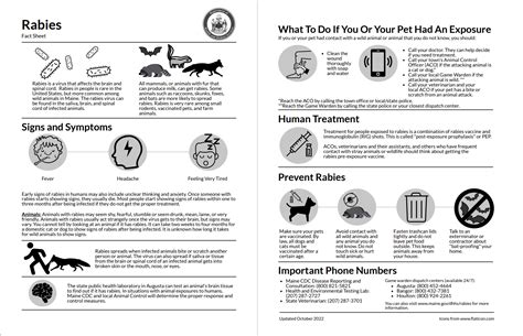 Maine Cdc Rabies Positive Animal City Of Ellsworth Maine