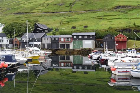 The Faroe Islands And The Fight For Whaling A Clash Between Culture