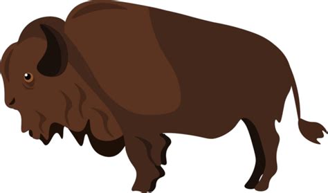 Grafis Bison Gambar Png File Vektor Dan Psd Unduh Gratis Di Pngtree
