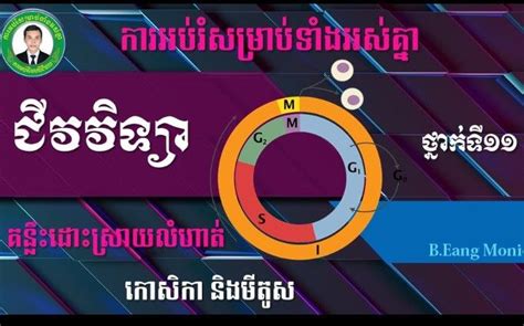 ការអប់រំសម្រាប់ទាំងអស់គ្នា សាលាឌីជីថល