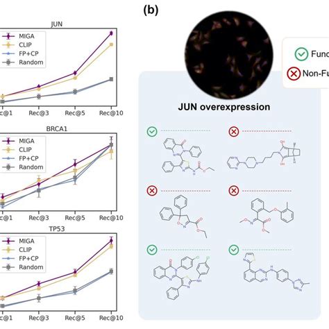 Retrieving Functional Molecules From Unseen Genetic Perturbations A