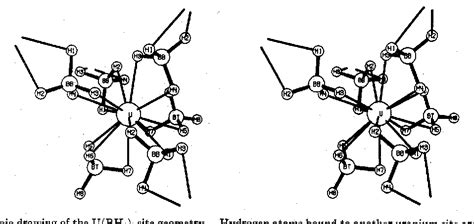 Figure 2 From 14 Coordinate Uranium Iv The Structure Of Uranium