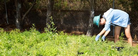 Scouting Projects Shadetree Partnership