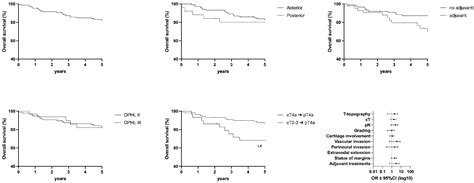 Cancers Free Full Text Partial Laryngectomy For Pt4a Laryngeal