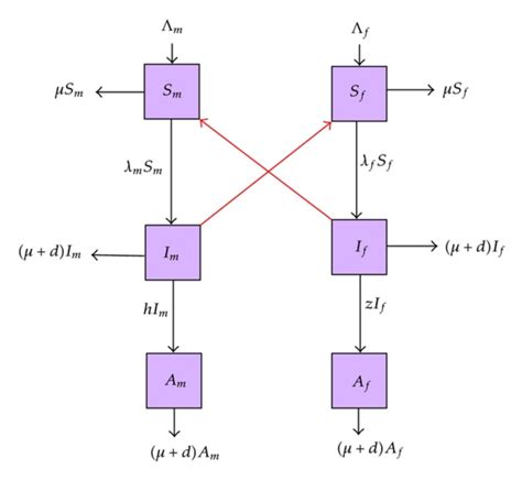 The Basic Hivaids Model Flowchart Download Scientific Diagram
