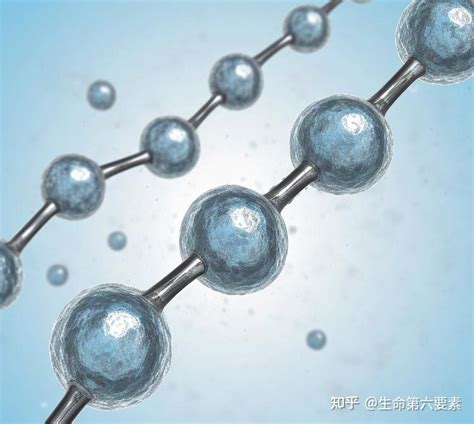 科普：寡糖 Vs 双糖：一字之差，天壤之别！ 知乎