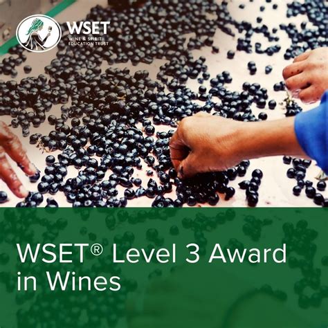 Wset Level Iii Sommwine