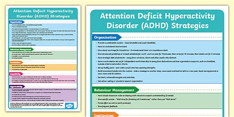 Adhd Support Strategies Display Poster For The Classroom