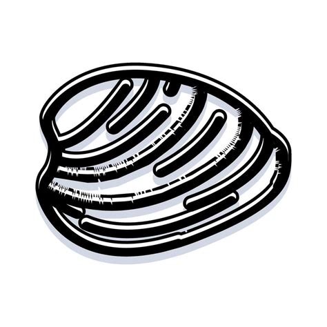 Concha Contorno Negro Blanco Dibujo Diseño 78623390 Vector En Vecteezy