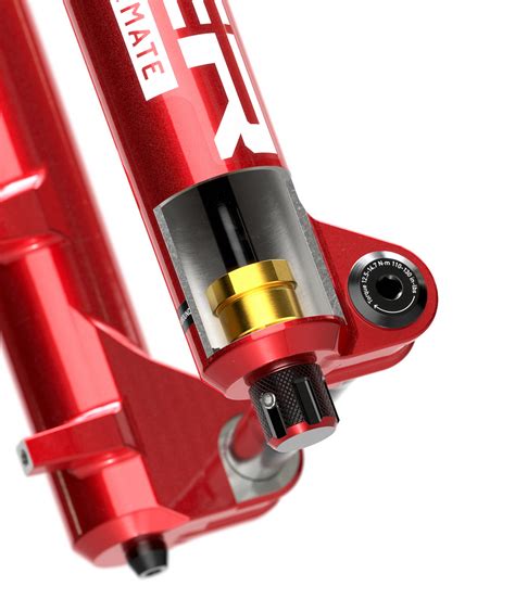 Ray Bach Rockshox Bxr