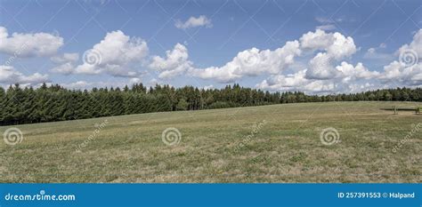 Bright Clouds Over Green Upland Among Trees In Black Forest Near