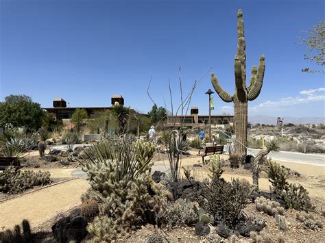 Springs Preserve Las Vegas Review Look Inside