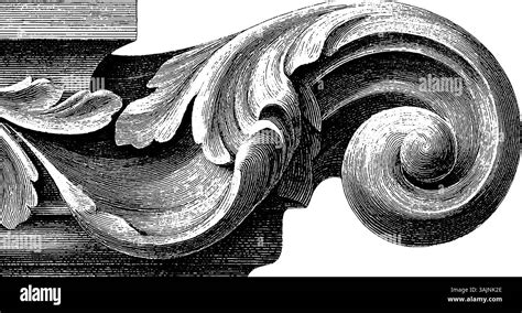 Ornate Black And White Architectural Scroll Motif Design Stock Vector Image And Art Alamy