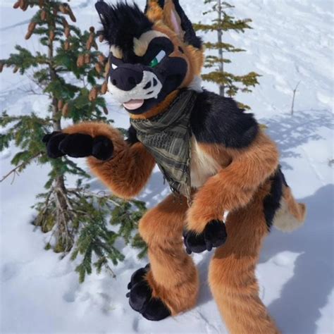Furry Furries Fursuiters Dailyfursuiters • Instagram Photos And