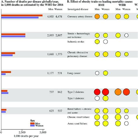 Overview Of The Sex Specific Effect Magnitudes And Strengths Of