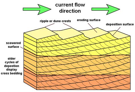 616 Sedimentary Structures Preserved In Bedding Geosciences Libretexts