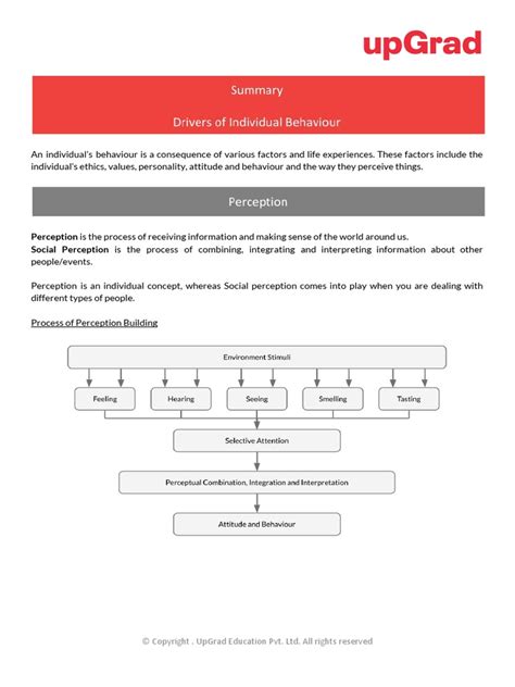 Summary Driversofindividualbehaviourii Pdf Attitude