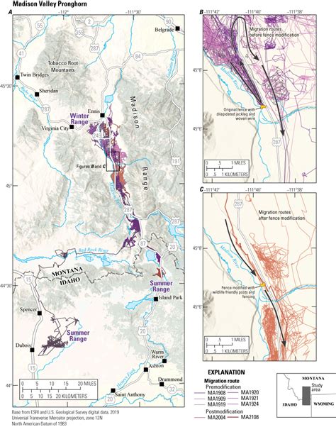 Montana Elk Migration Maps Elk Montana Field Guide