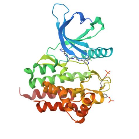 Rcsb Pdb 8bxc Crystal Structure Of Jak2 Jh1 In Complex With Itacitinib