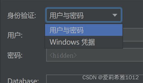 Sql Server如何连接到idea上的一些问题idea 缺少sqlserver驱动程序文件 Csdn博客