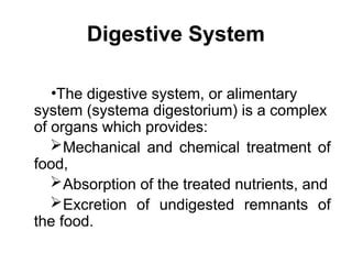 Lesson Notes Digestive System Natunga Ronald Ppt