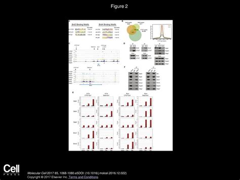 Volume 65 Issue 6 Pages E5 March 2017 Ppt Download