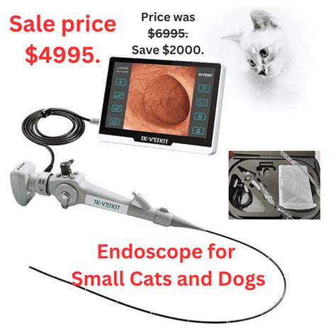 In House Heartworm Tests A Comparison Veterinary Guide