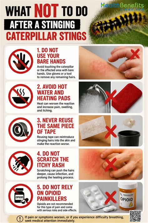 Home Remedies For Stinging Caterpillar Rash And Irritation Health