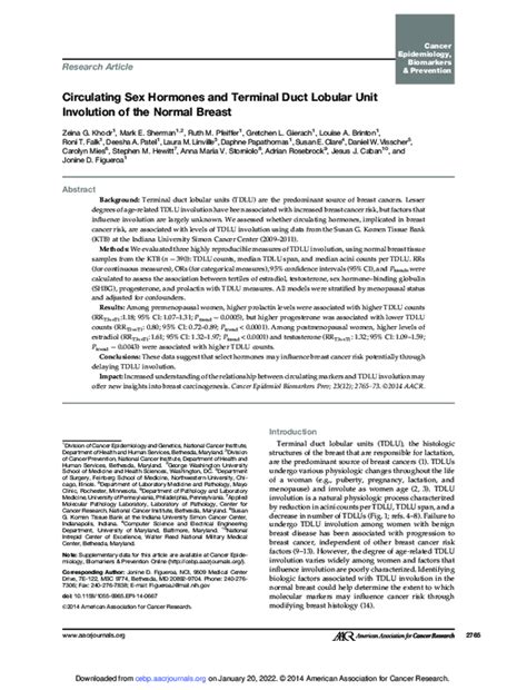 Pdf Research Article Circulating Sex Hormones And Terminal Duct