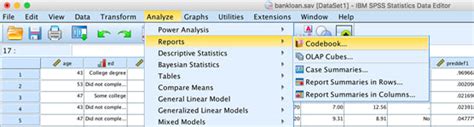 Spss Statistics Help Lasembeautiful