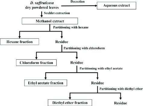 The Systematic Diagram Of The Preparation Of Extracts Download