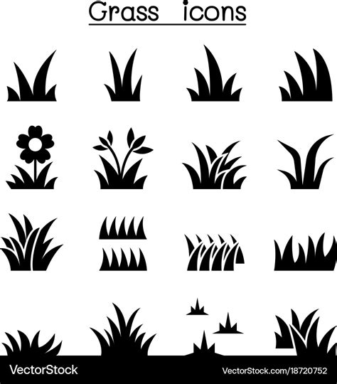 Grass Graphics