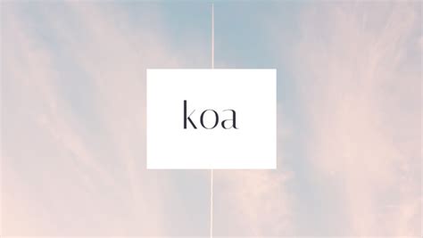 First Steps With Koajs Logrocket Blog First Steps With Koajs Logrocket Blog