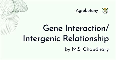Gene Interaction Epistatic Interactions Notes
