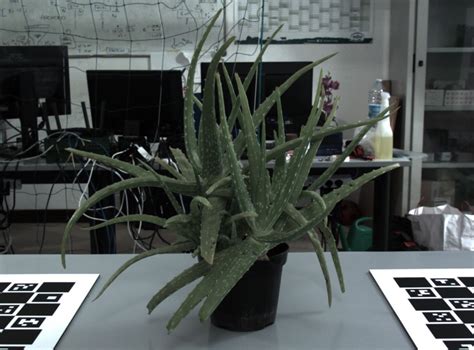 Multimodalstudio A Heterogeneous Sensor Dataset And Framework For