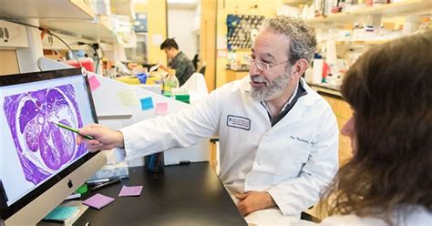 Proper Heart Development All About Timing Featuring Ivan Moskowitz