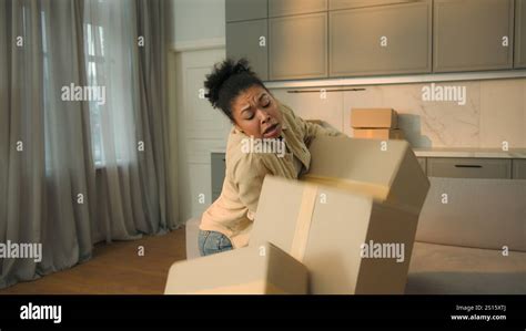 Female Homeowner African American Woman Tenant Moving In New Home Relocation Carry Cardboard